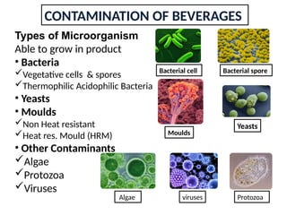 contamination spoilage and preservation of soft drinks | PPTX
