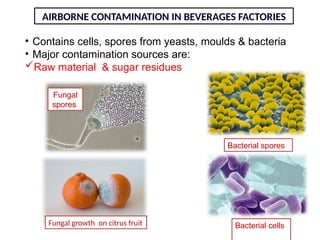 contamination spoilage and preservation of soft drinks | PPTX
