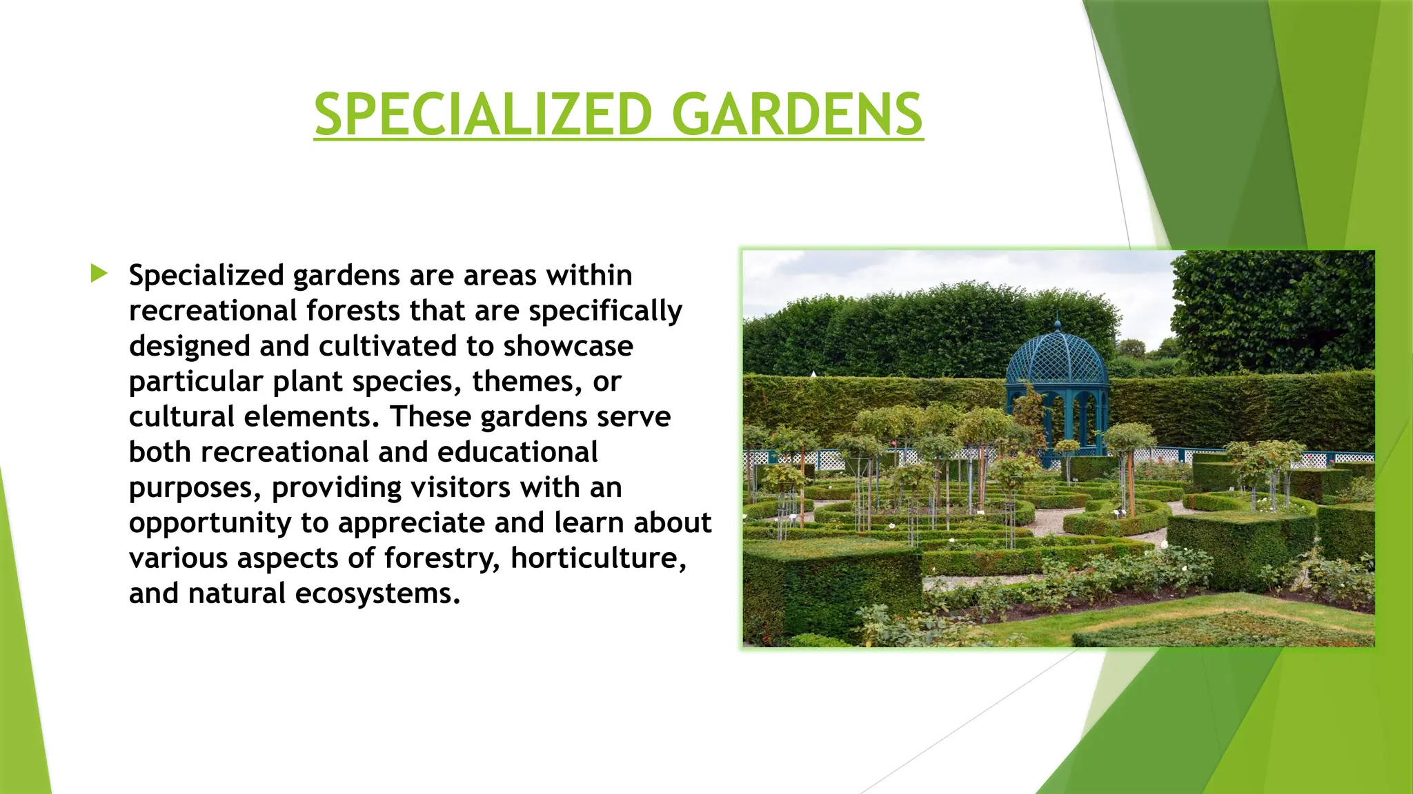 PPT on specialized gardens like rock garden, water garden etc. | PPTX