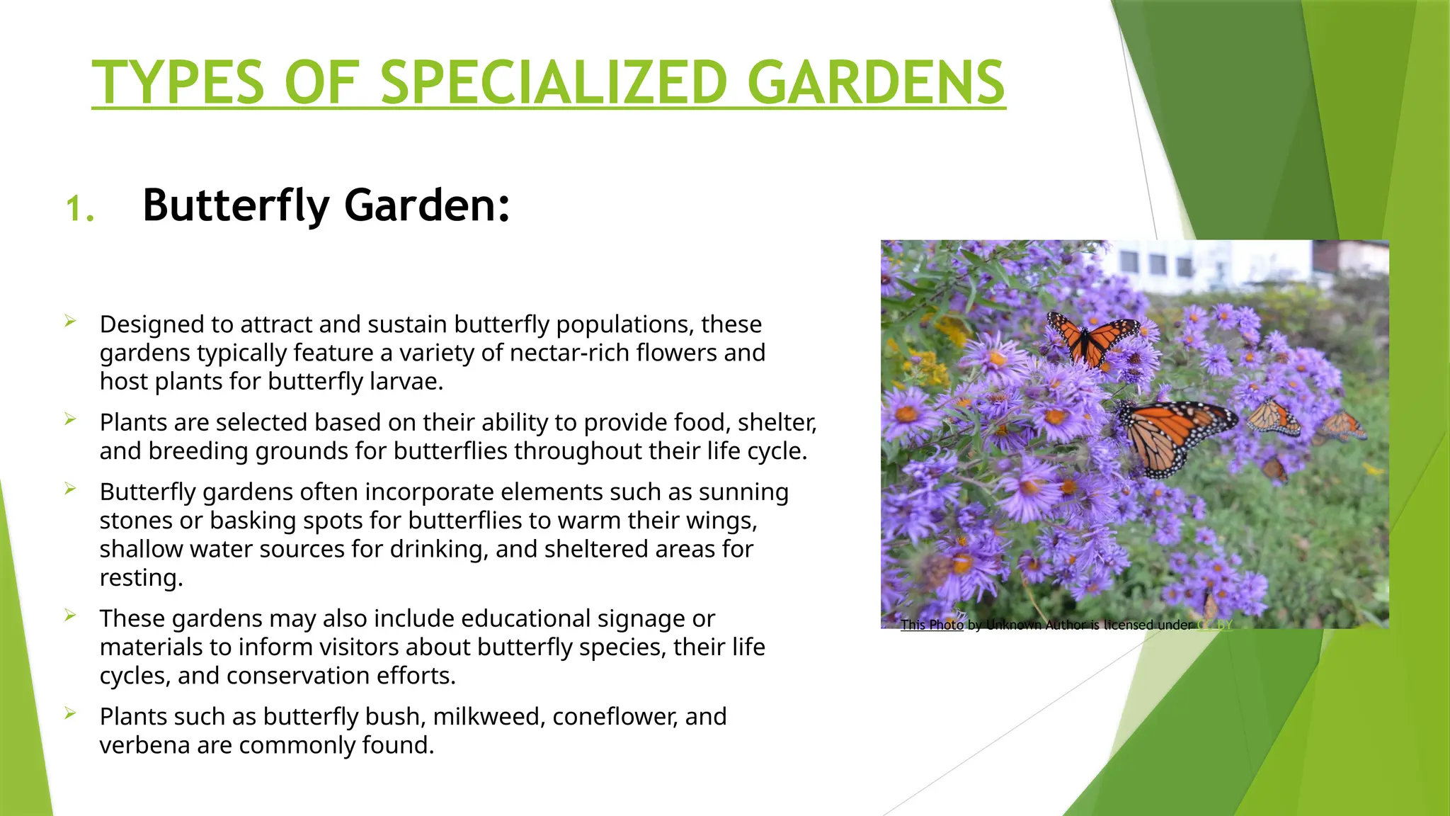 PPT on specialized gardens like rock garden, water garden etc. | PPTX