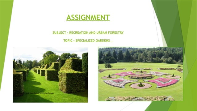 PPT on specialized gardens like rock garden, water garden etc. | PPTX | Landscaping | Home & Garden