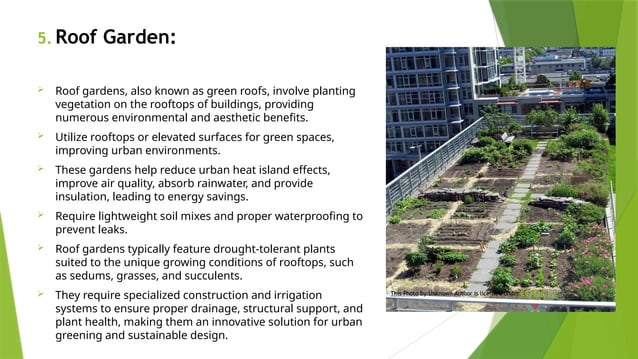 PPT on specialized gardens like rock garden, water garden etc. | PPTX ...