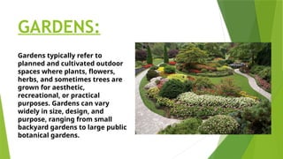 PPT on specialized gardens like rock garden, water garden etc. | PPTX
