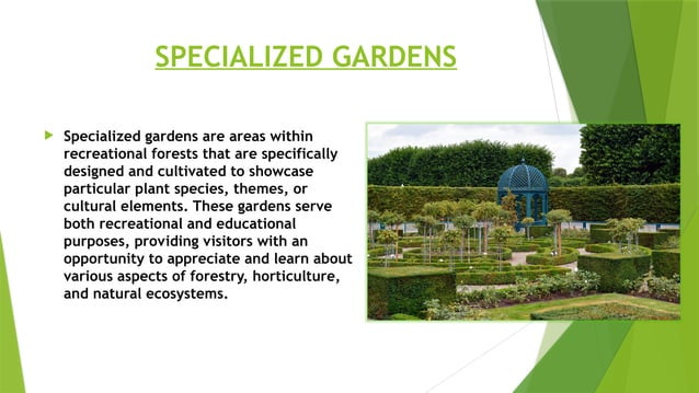 PPT on specialized gardens like rock garden, water garden etc. | PPTX | Landscaping | Home & Garden