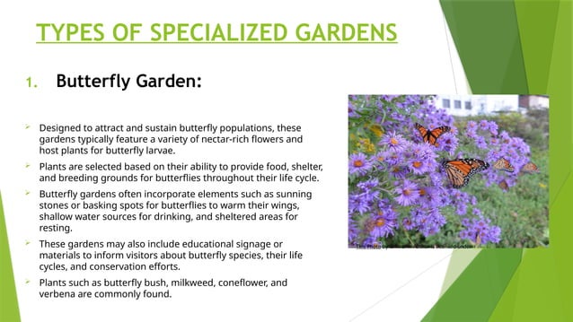 PPT on specialized gardens like rock garden, water garden etc. | PPTX | Landscaping | Home & Garden