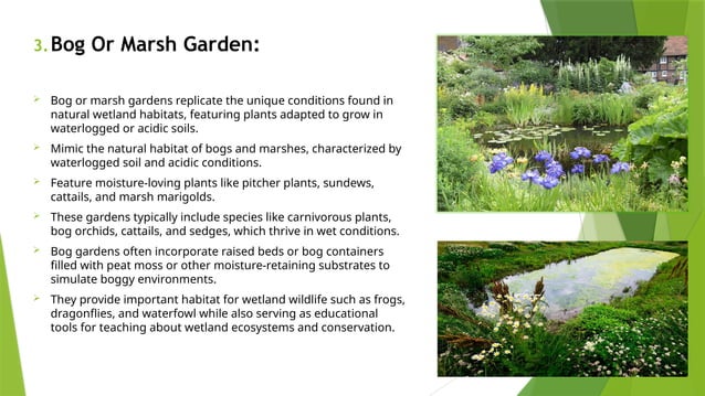 PPT on specialized gardens like rock garden, water garden etc. | PPTX | Landscaping | Home & Garden