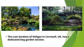 PPT on specialized gardens like rock garden, water garden etc. | PPTX