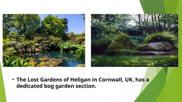 PPT on specialized gardens like rock garden, water garden etc. | PPTX ...