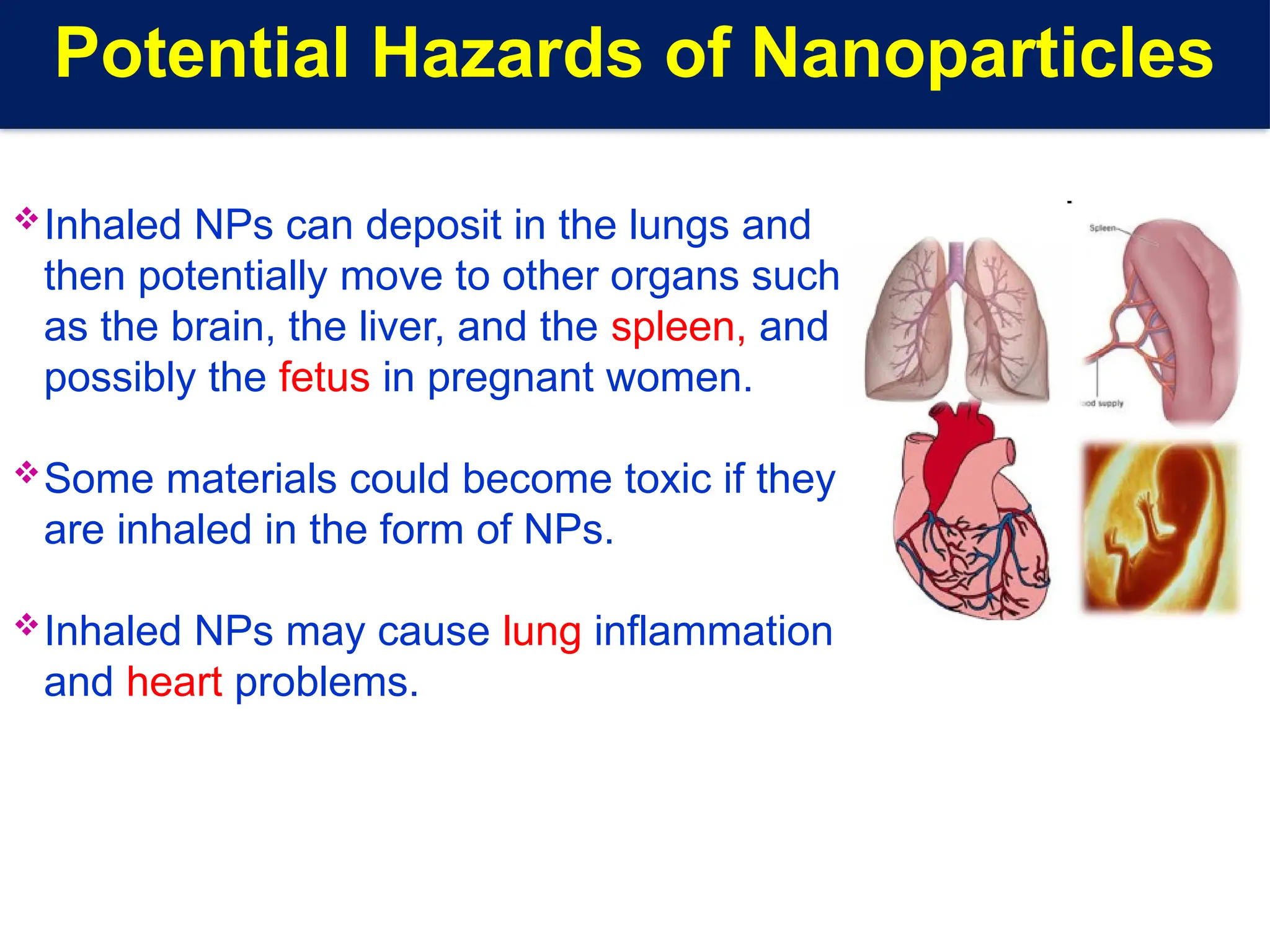Assignment Potential Hazards Nanomaterials | PPTX