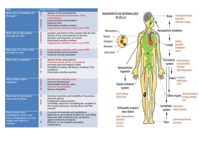 Assignment Potential Hazards Nanomaterials | PPTX