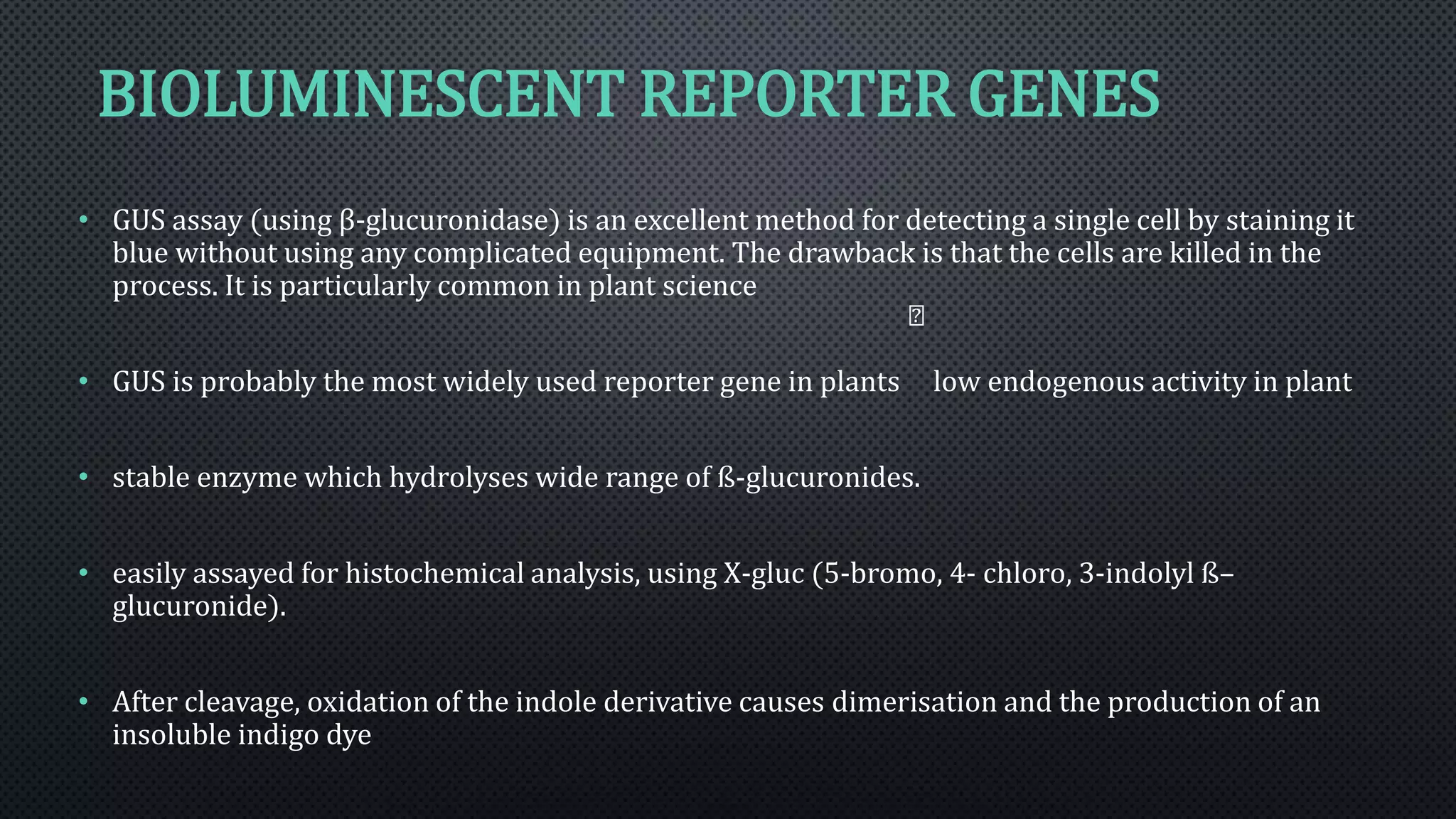 reporter gene assays by Tahura Mariyam | PPTX