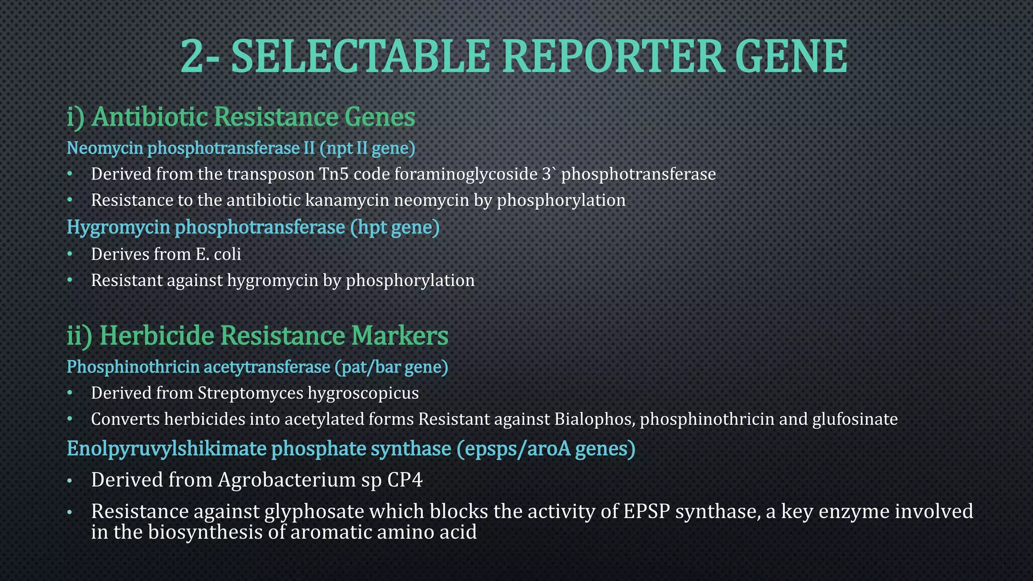 reporter gene assays by Tahura Mariyam | PPTX