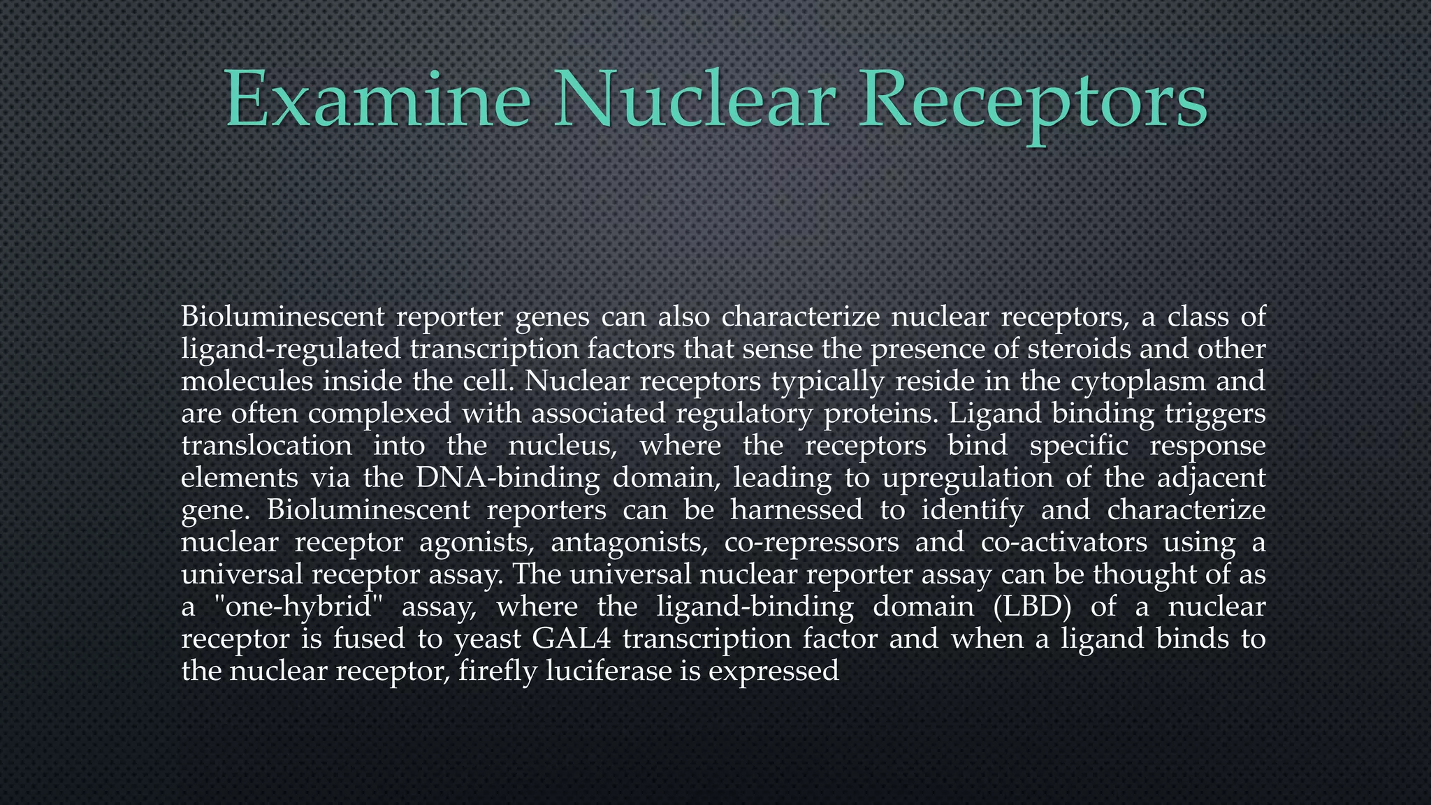 reporter gene assays by Tahura Mariyam | PPTX