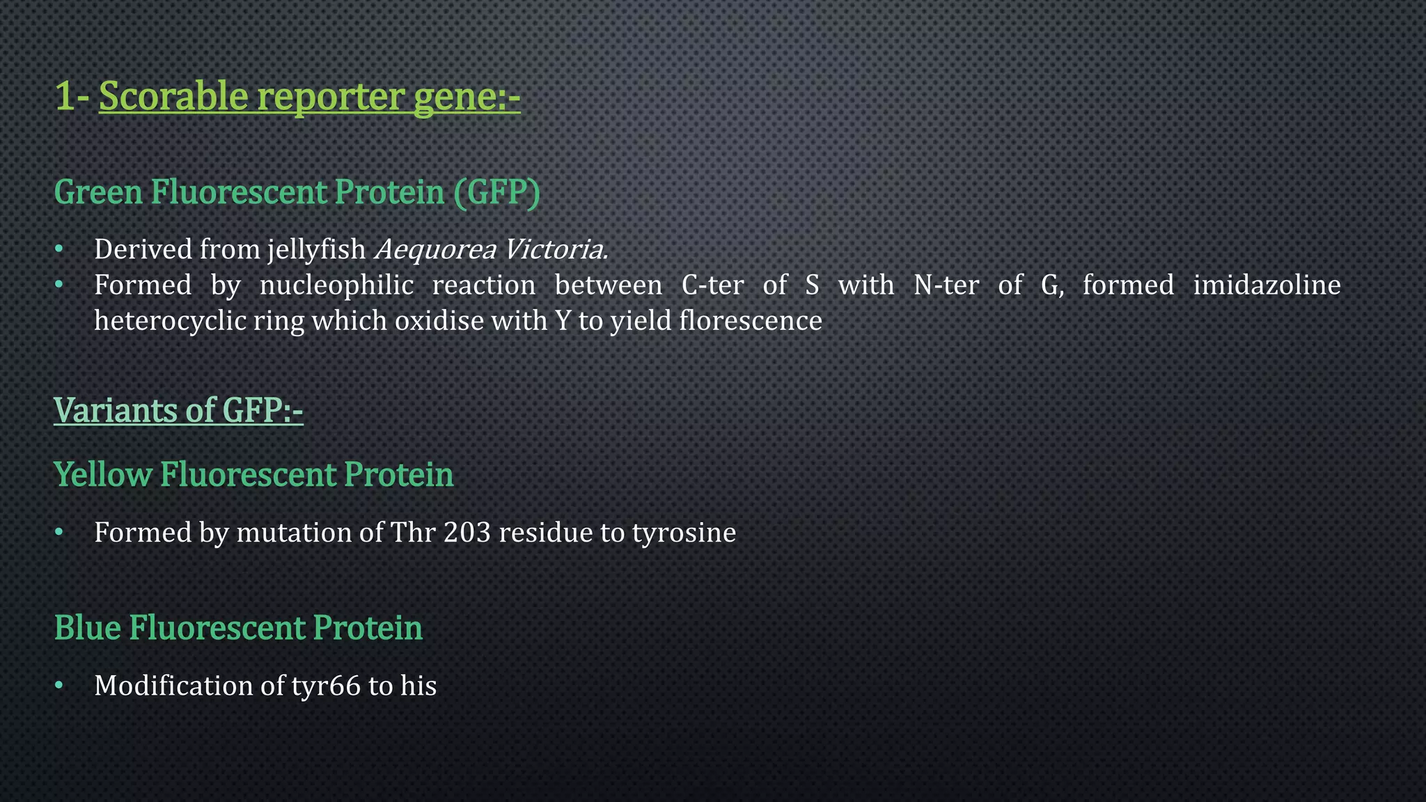 reporter gene assays by Tahura Mariyam | PPTX