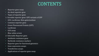 reporter gene assays by Tahura Mariyam | PPTX