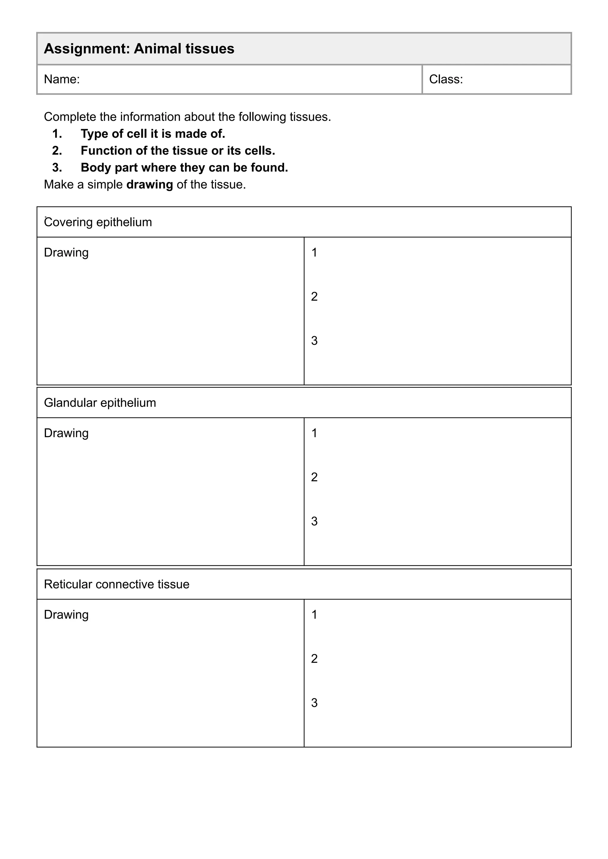 Animal tissues assignment - Draw and describe | PDF