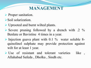 Guava wilt and cotton wilt | PPT