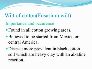 Guava wilt and cotton wilt | PPT