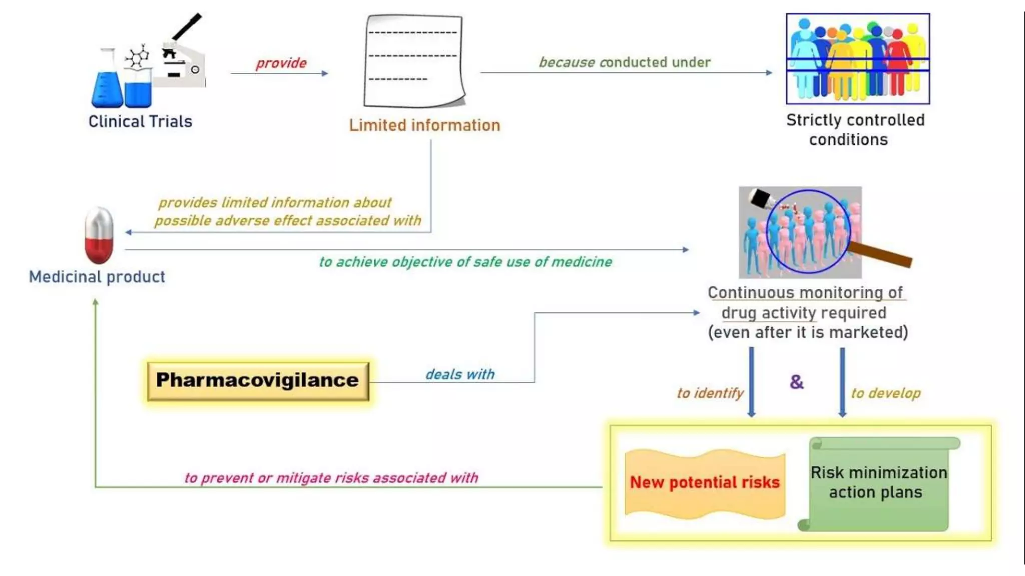 Signal Management and Risk Assessment in Pharmacovigilance | PPTX