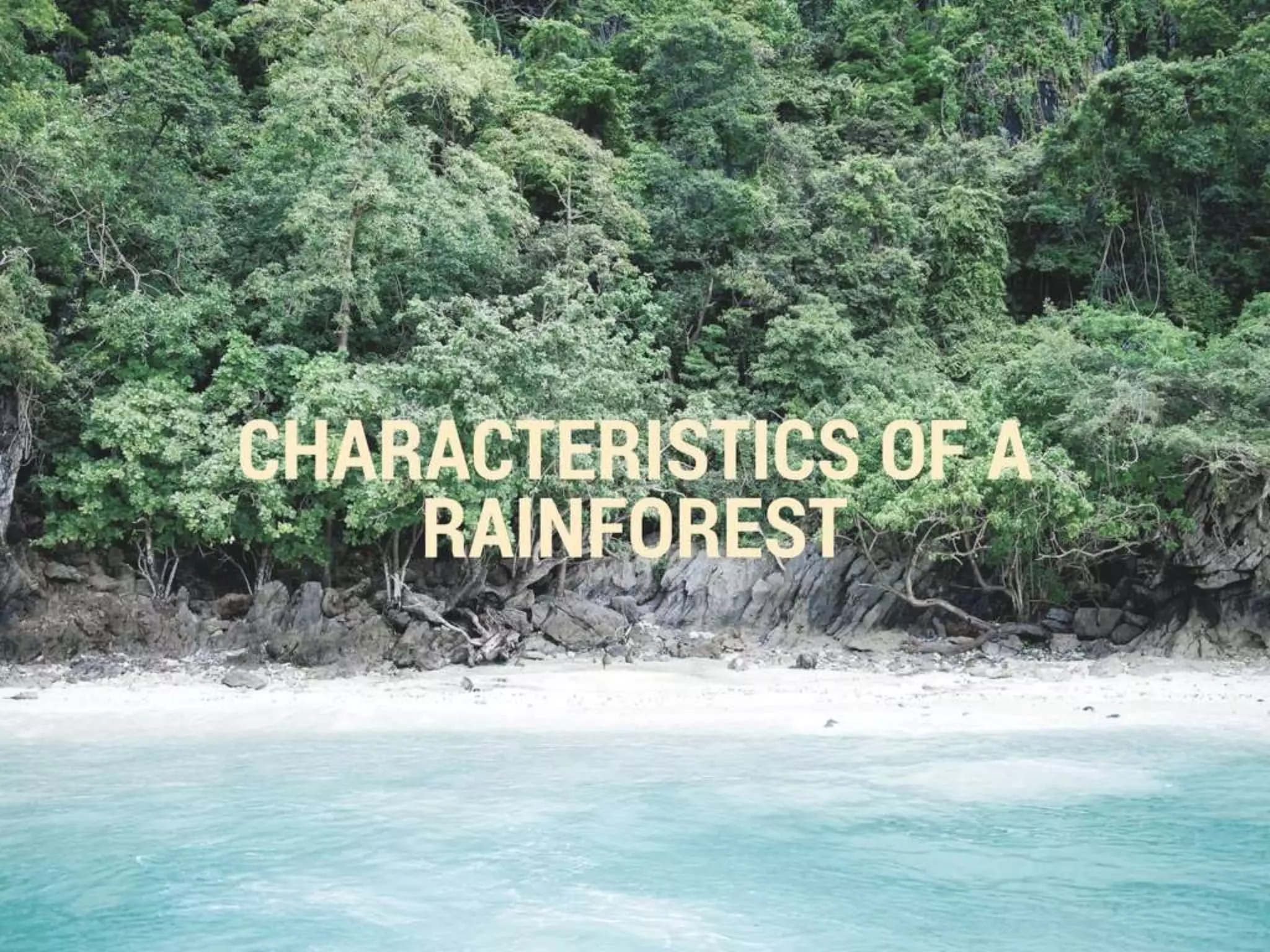 Rainforest & Climata Change | PPT