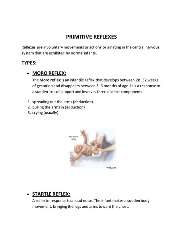 Primitive Reflexes | PDF