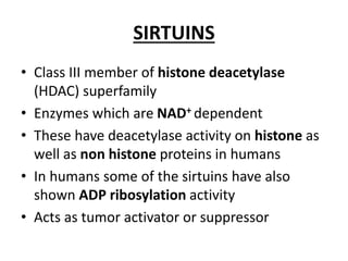 Assignment1_Sirtuins | PPTX | Chemistry | Science