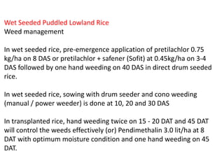 WEED MANAGEMENT IN CEREAL CROP | PPTX