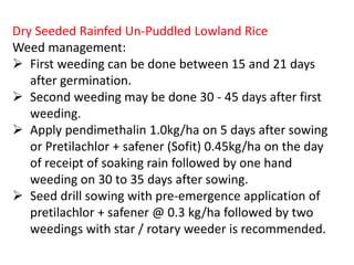 WEED MANAGEMENT IN CEREAL CROP | PPTX