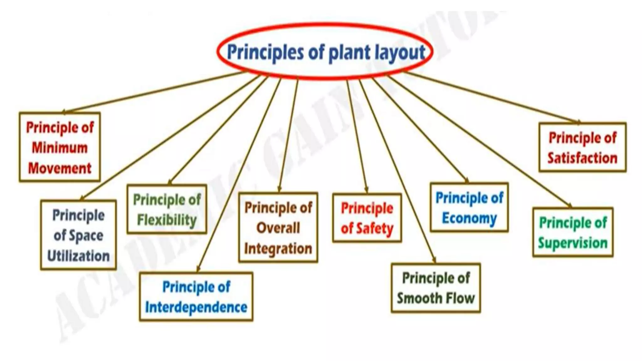 Pharmaceutical Production Layout | PPTX