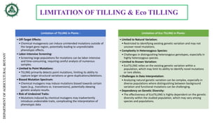TILLING AND ECO TILLING IN CROP IMPROVEMENT.pptx