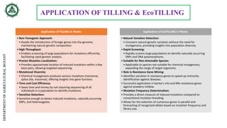 TILLING AND ECO TILLING IN CROP IMPROVEMENT.pptx
