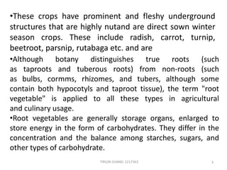 ROOT CROPS | PPTX