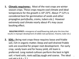 ROOT CROPS | PPTX