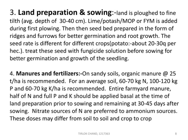 ROOT CROPS | PPTX | Agriculture | Industries