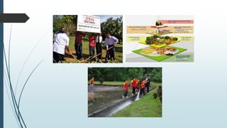 Assignment 12 (teamwork)[2852] | PPTX