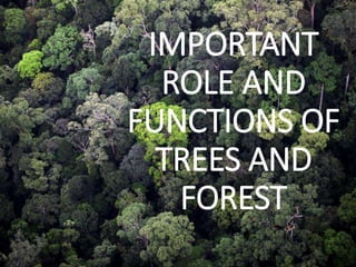 Assignment BBT 308 Tropical Plant Ecology | PPTX