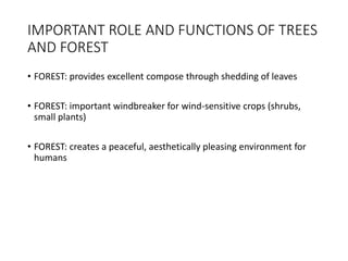 Assignment BBT 308 Tropical Plant Ecology | PPTX