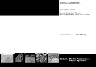 Assignment1 Efy+Katerina | PDF