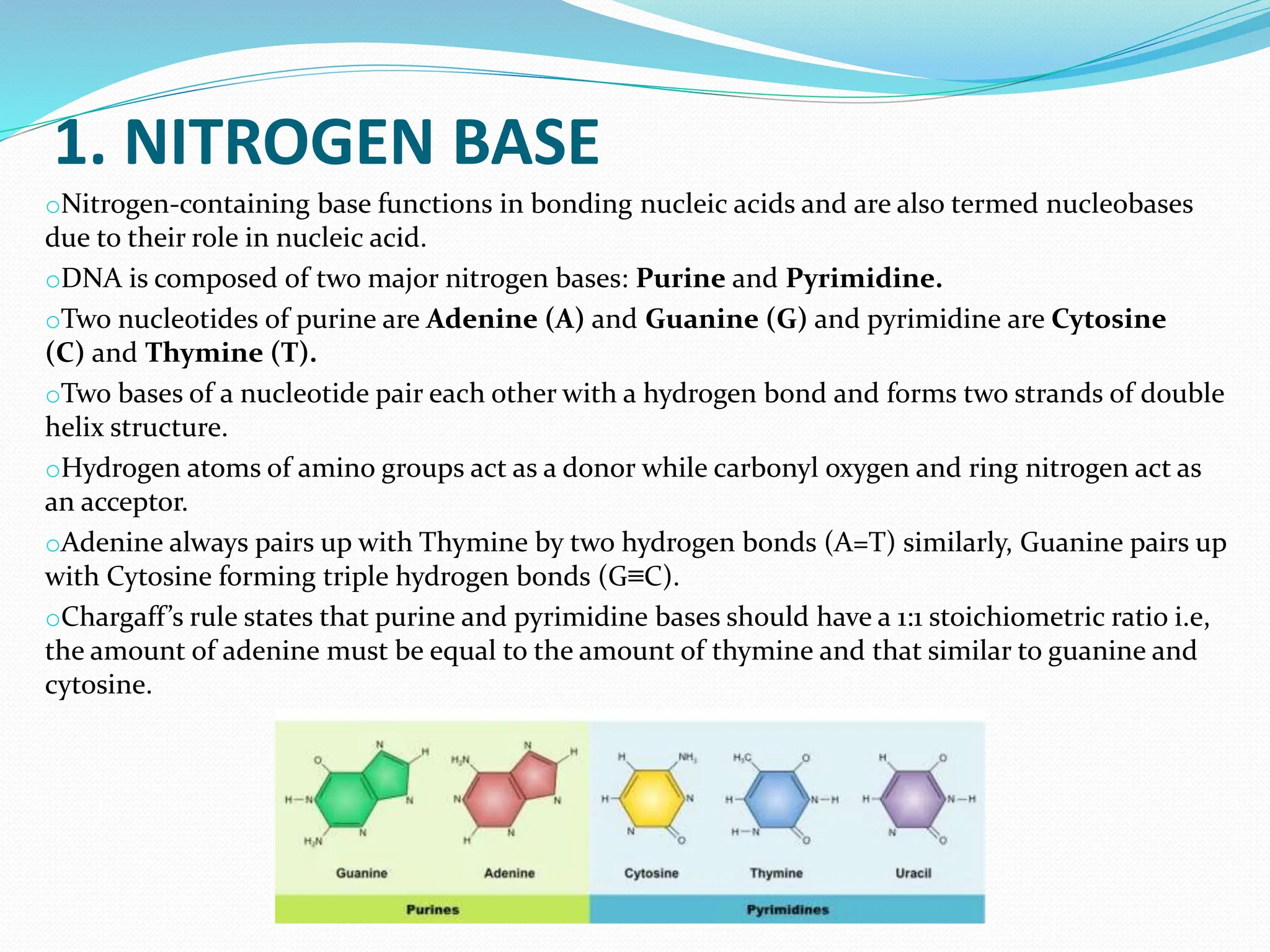 Structure of purines and pyrimidines - Jahnvi arora (11228108), mmdu ...