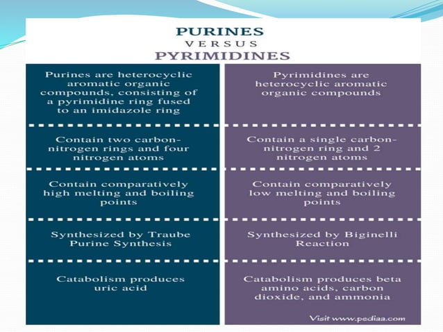 Structure of purines and pyrimidines - Jahnvi arora (11228108), mmdu ...