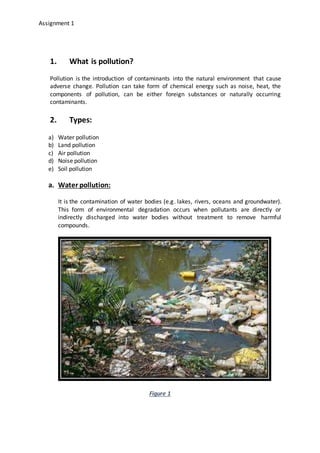 Assignment 1 (Rida Kainat).docx