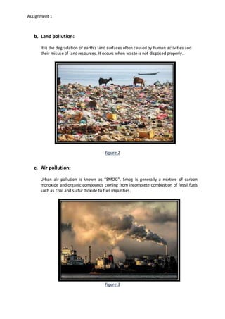 Assignment 1 (Rida Kainat).docx