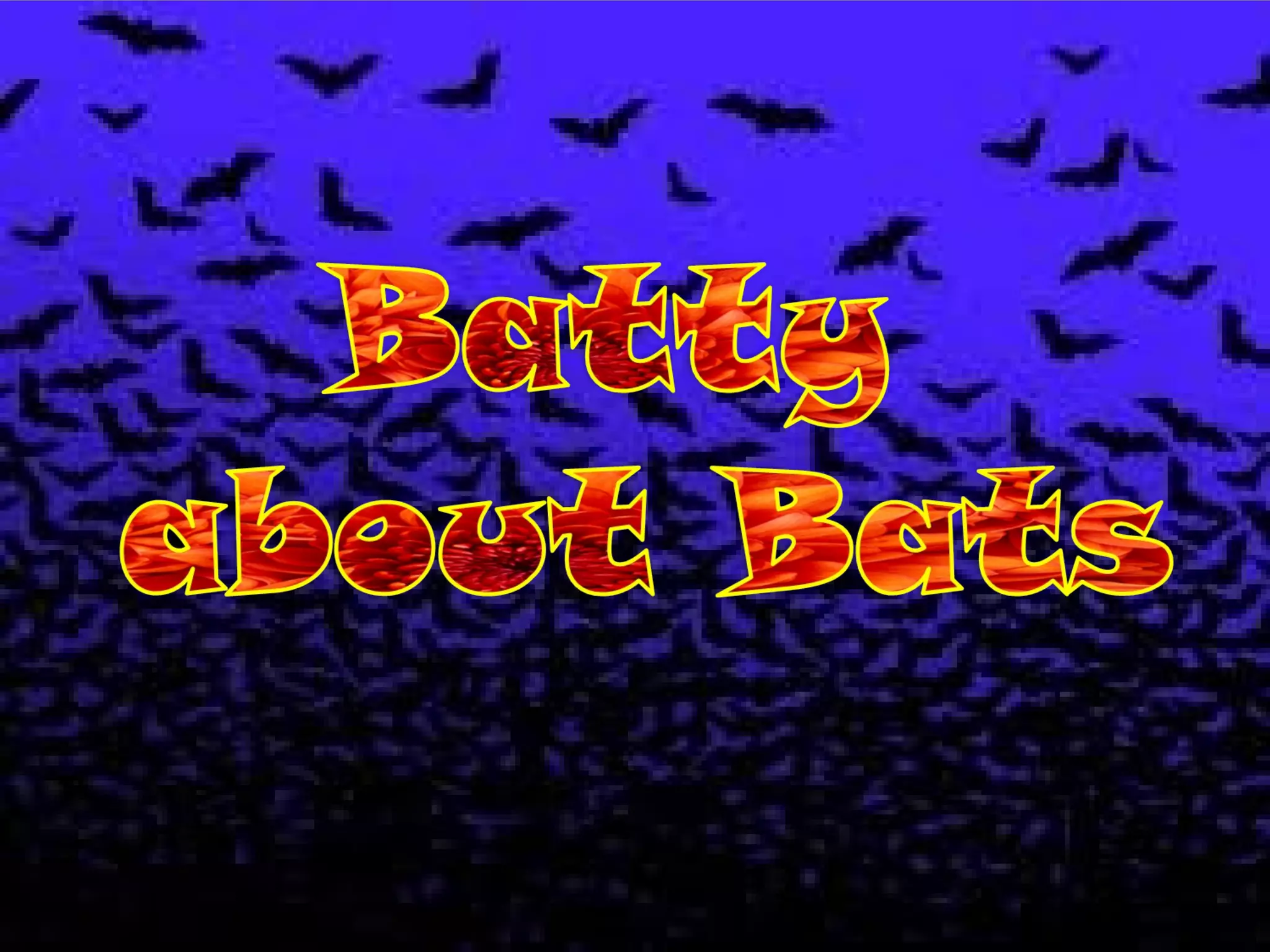 Batty about Bats | PPT