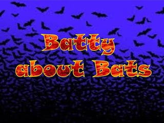 Batty about Bats | PPT