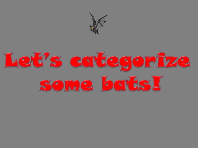 Batty about Bats | PPT