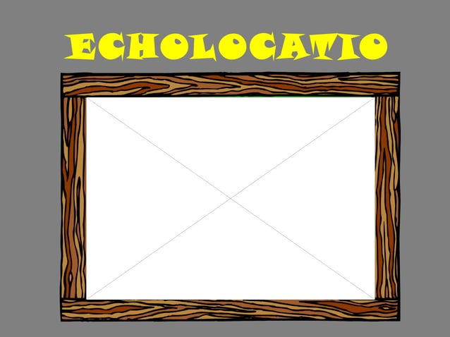 Batty about Bats | PPT