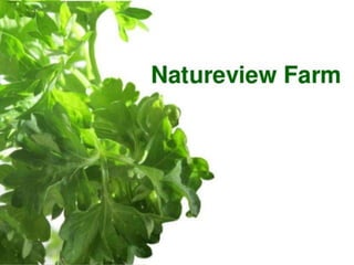 Natureview Farm Case Analysis | PPT