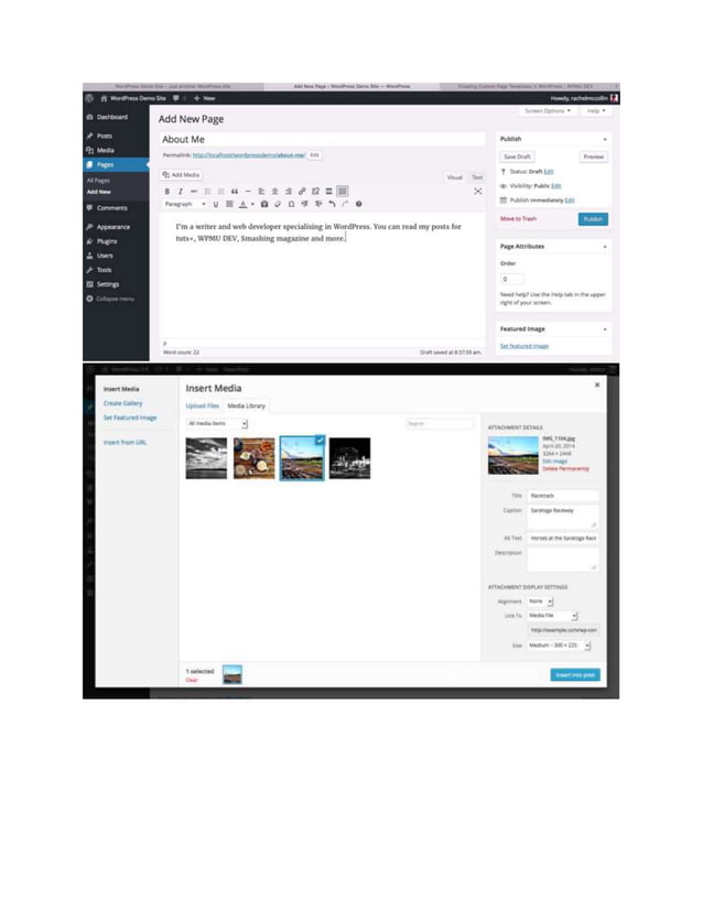 Assignment 2 word press digi skill | PDF