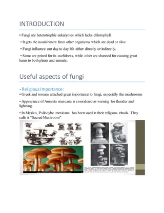 Importance of fungi | DOCX
