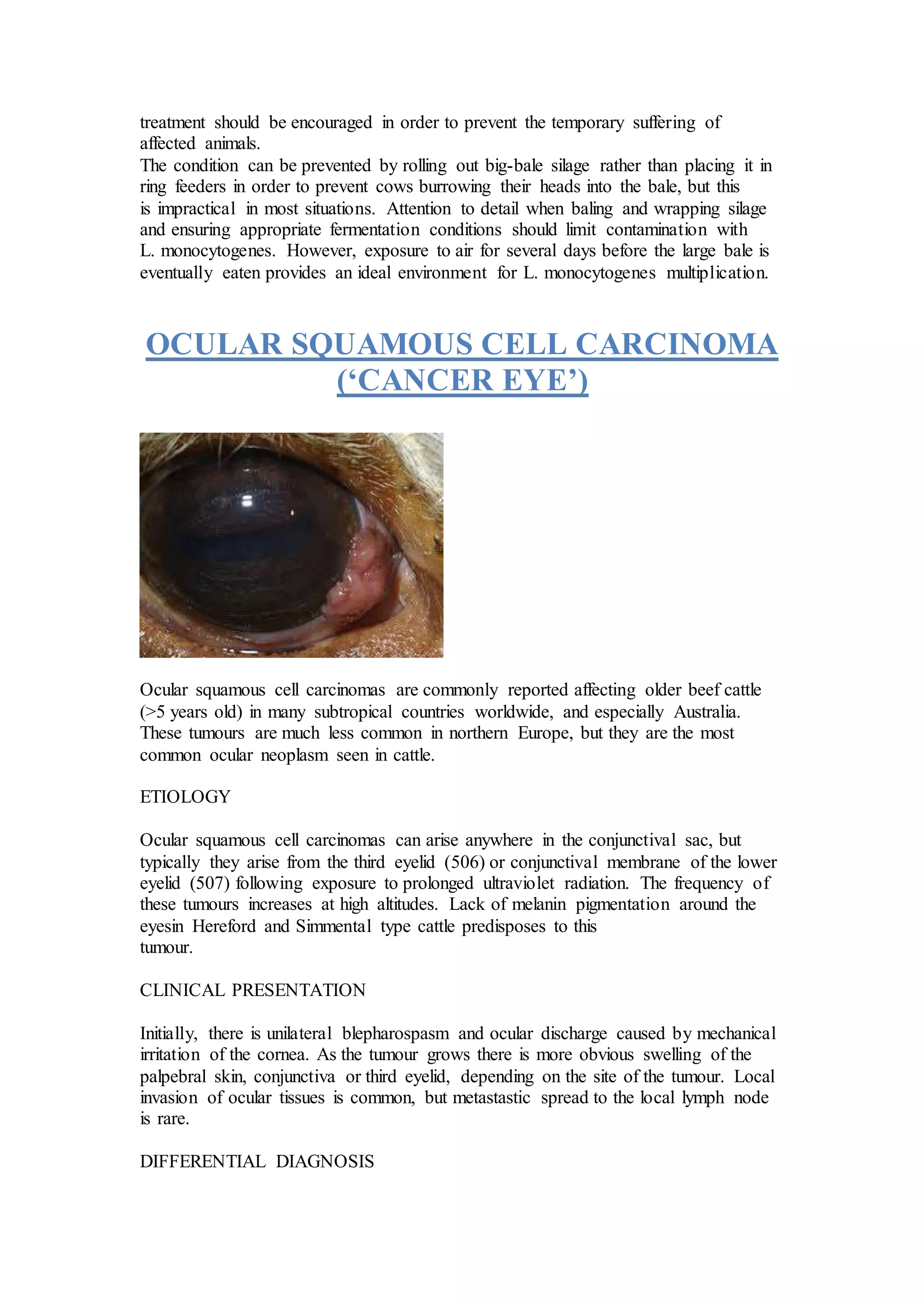 Diseases responsible for blindness in cattle | DOC
